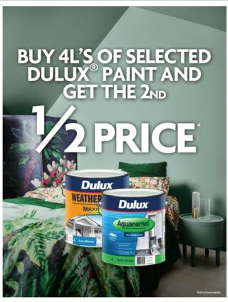 Paint-Offer.jpg#asset:24941:mailerThumbnail