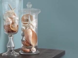 Colour Collection - Colour Plus NZ